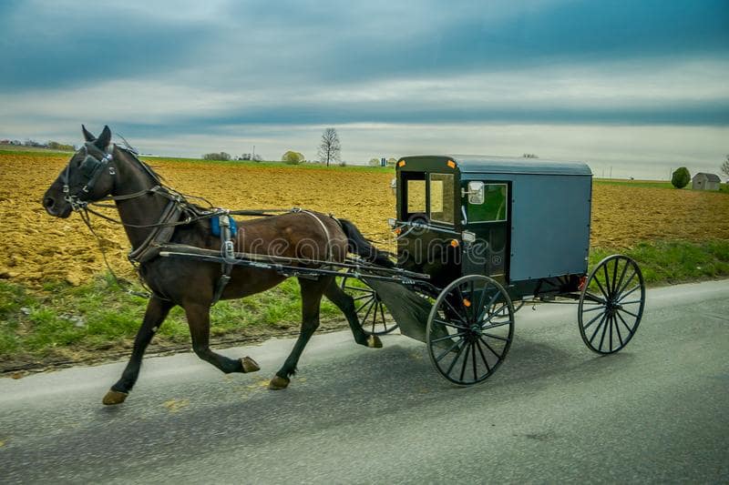 Amish Country - Montello Area Chamber of Commerce